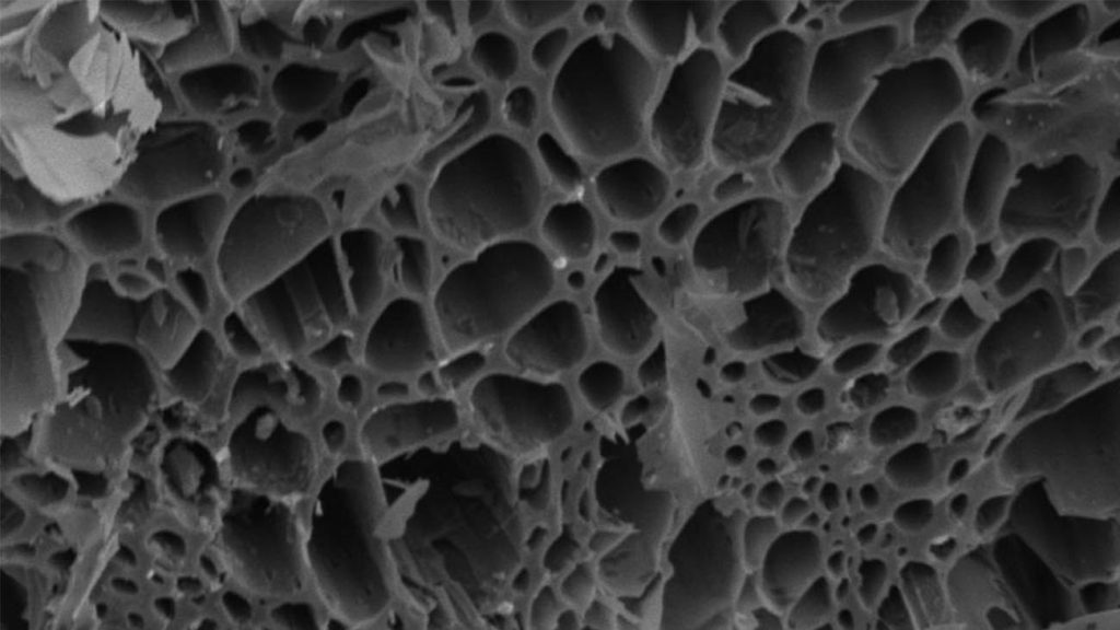 Biochar: A Sustainable Additive for Soil Remediation - Stars